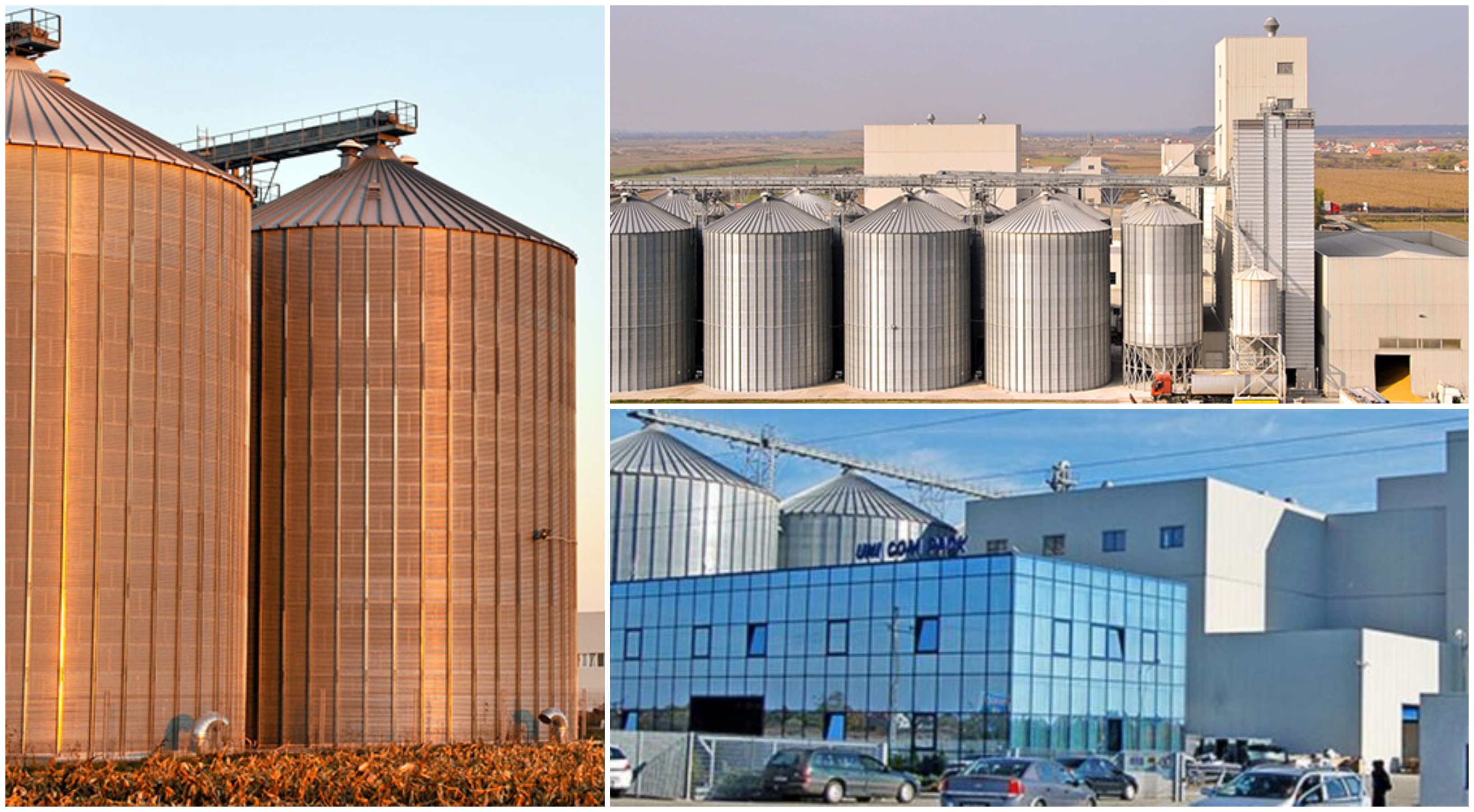 INTERESANT. Un startup, cu un angajat, preia parțial gigantul sătmărean ...